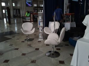 Swan Chair - Posh & Luxe